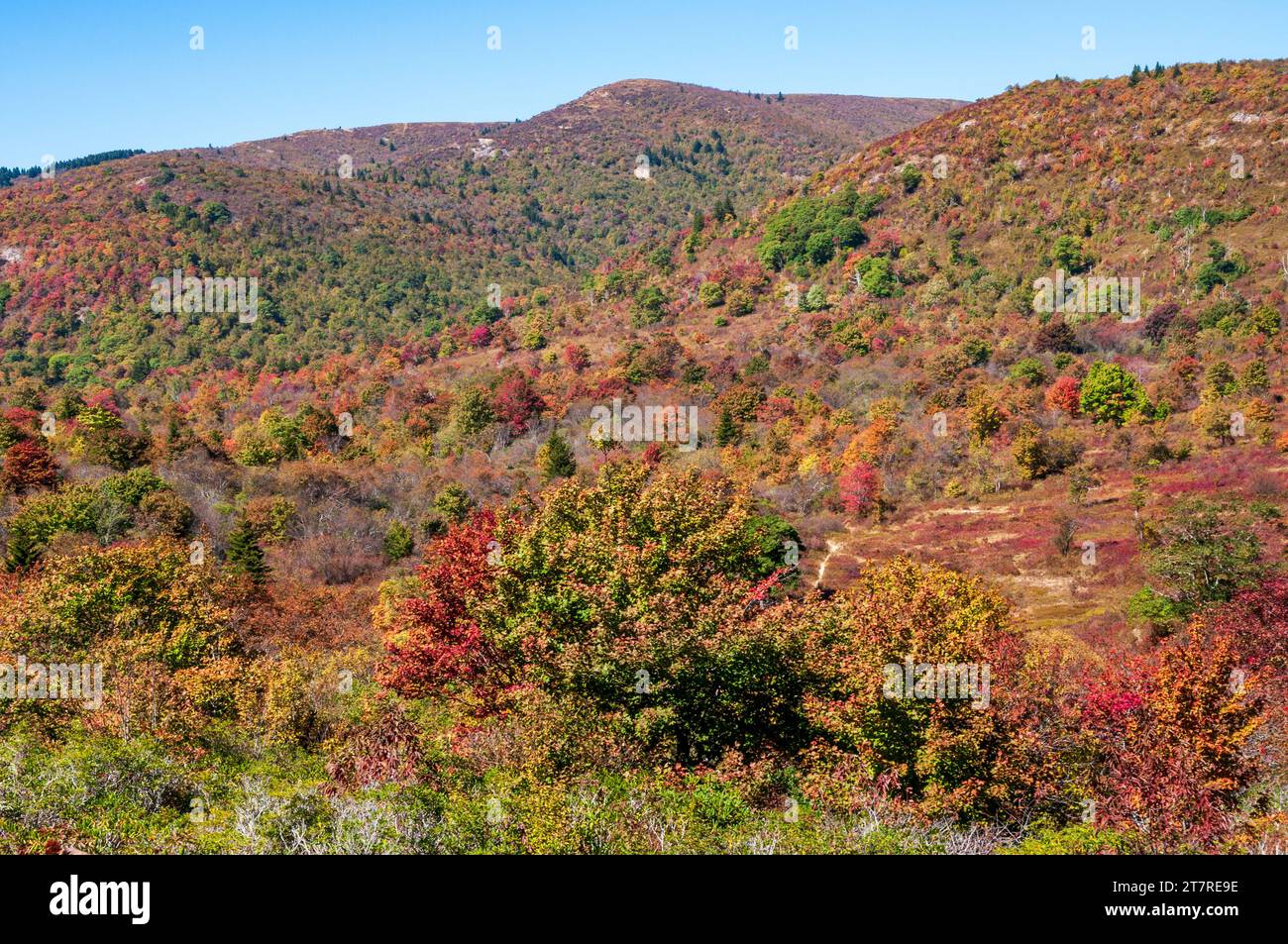 Fall Foliage at the Blue Ridge Parkway Stock Photo - Alamy