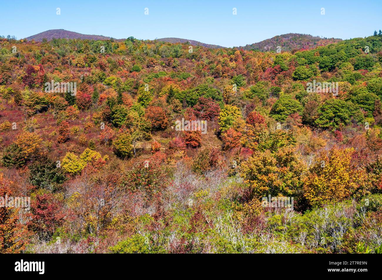 Fall Foliage at the Blue Ridge Parkway Stock Photo - Alamy