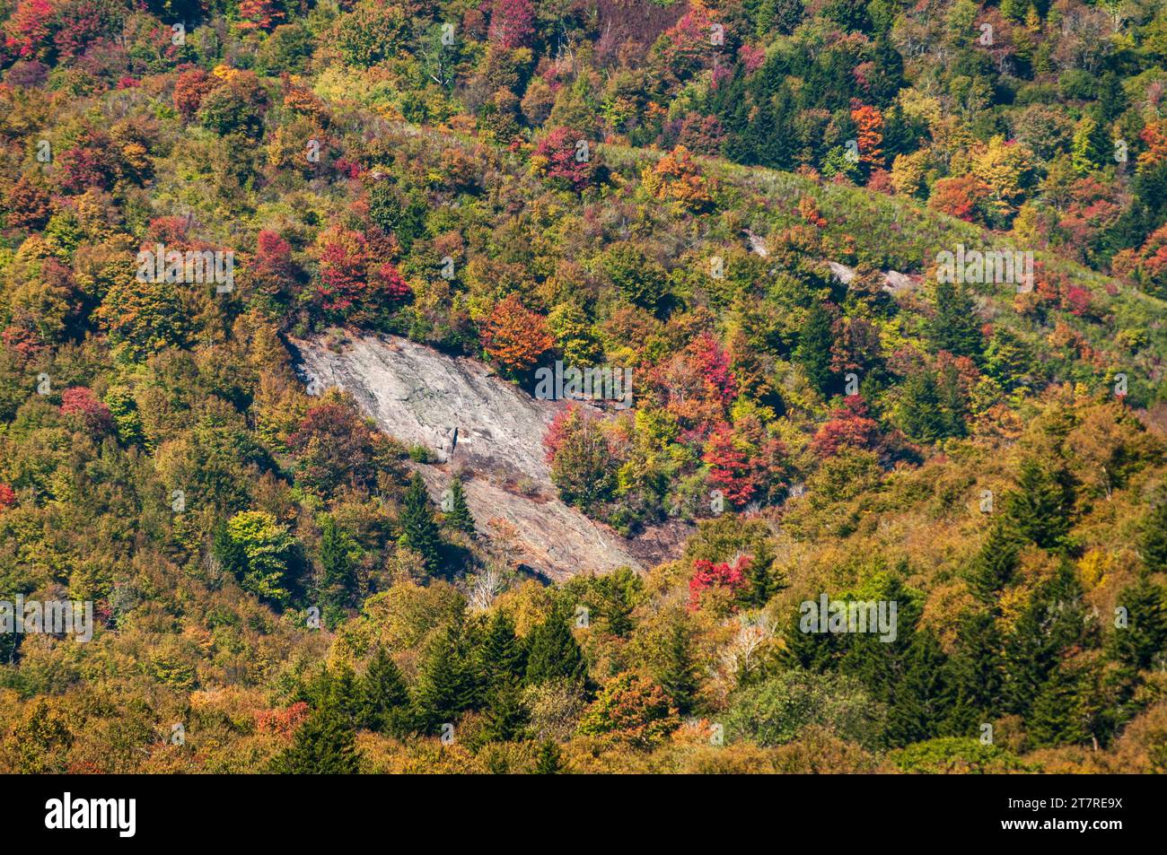 Fall Foliage at the Blue Ridge Parkway Stock Photo - Alamy