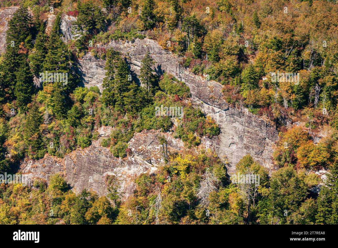 Fall Foliage at the Blue Ridge Parkway Stock Photo - Alamy