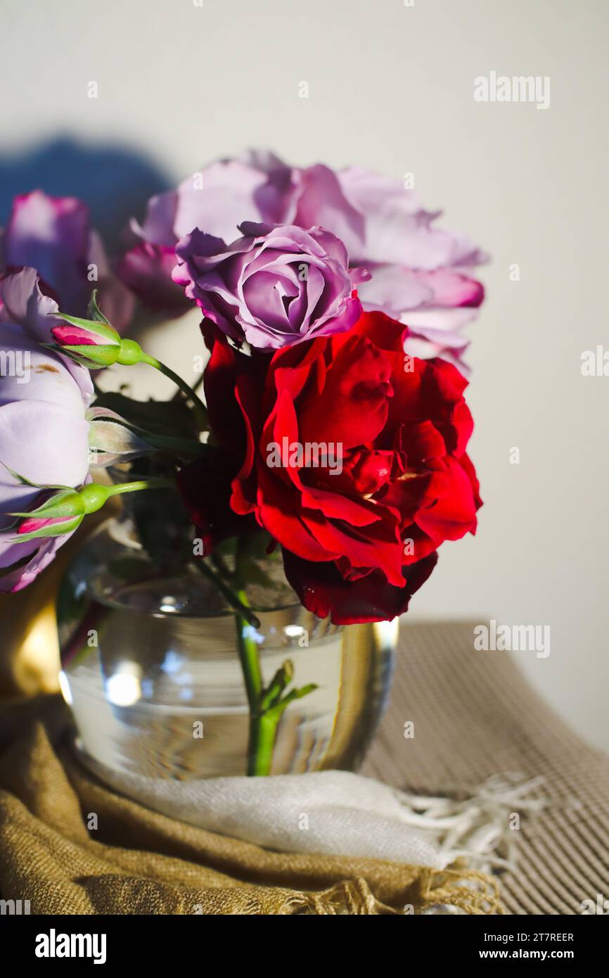 Red roses in glass vase hi-res stock photography and images - Alamy