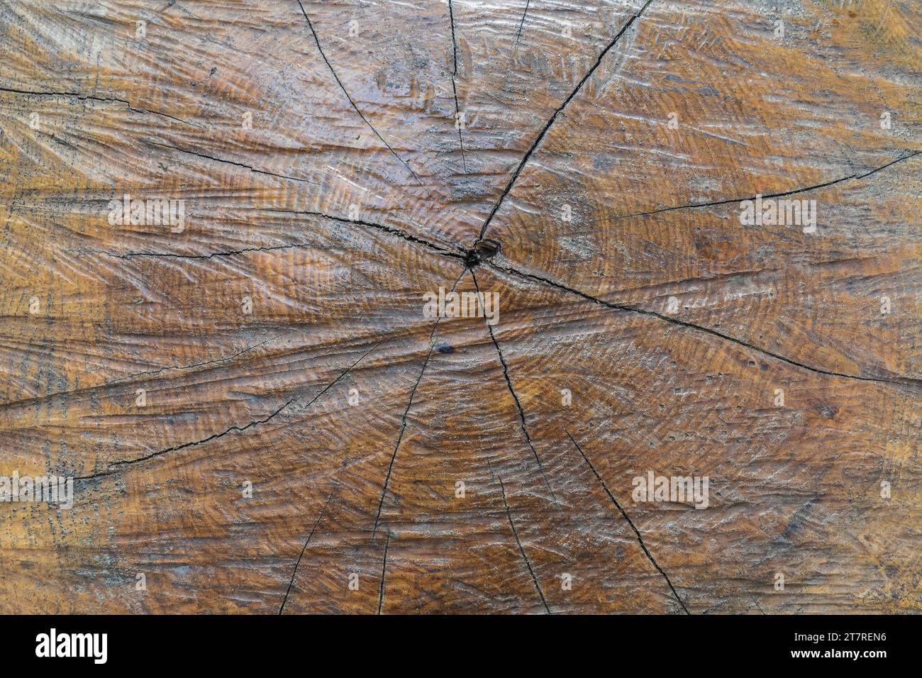 Log and frame hi-res stock photography and images - Alamy