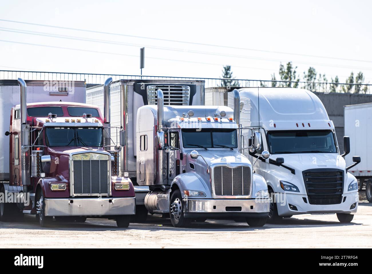 Industrial long hauler carriers different big rig semi trucks tractors ...