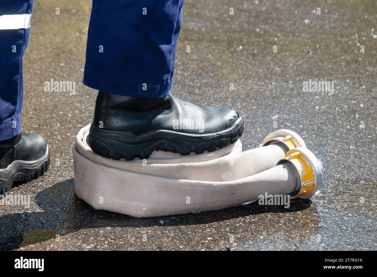 A firefighter stepping on a rolled up fire hose Stock Photo - Alamy