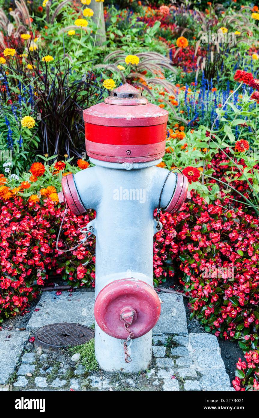 A vibrant fire hydrant with a red cap sits in the center of a vibrant ...