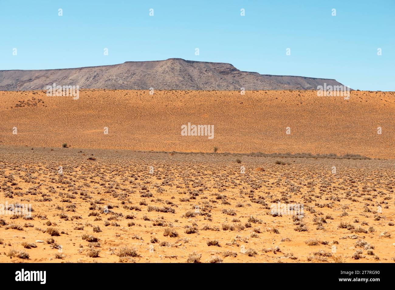bright sunny desert landscape by dry season in Namibia Stock Photo - Alamy