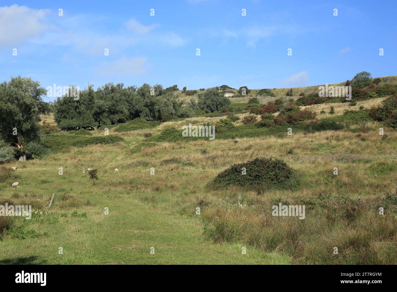 Palmarsh hi-res stock photography and images - Alamy