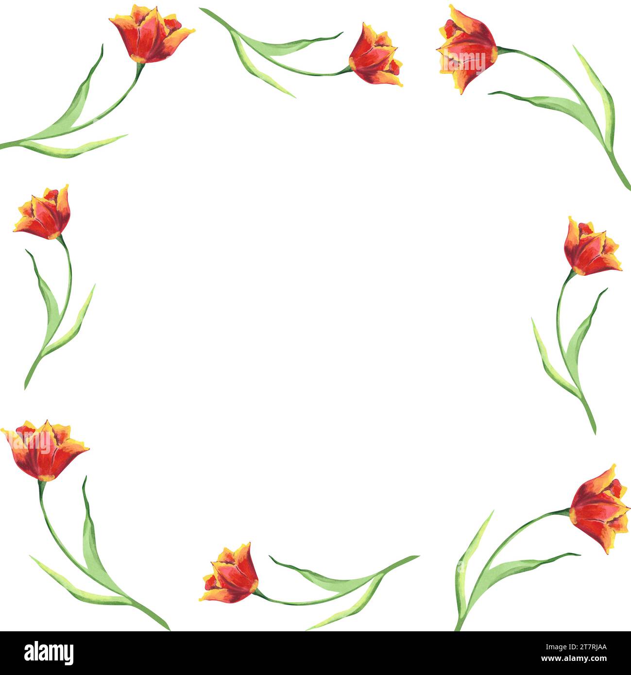 Template for frame with red tulips and green leaves. Hand drawn ...