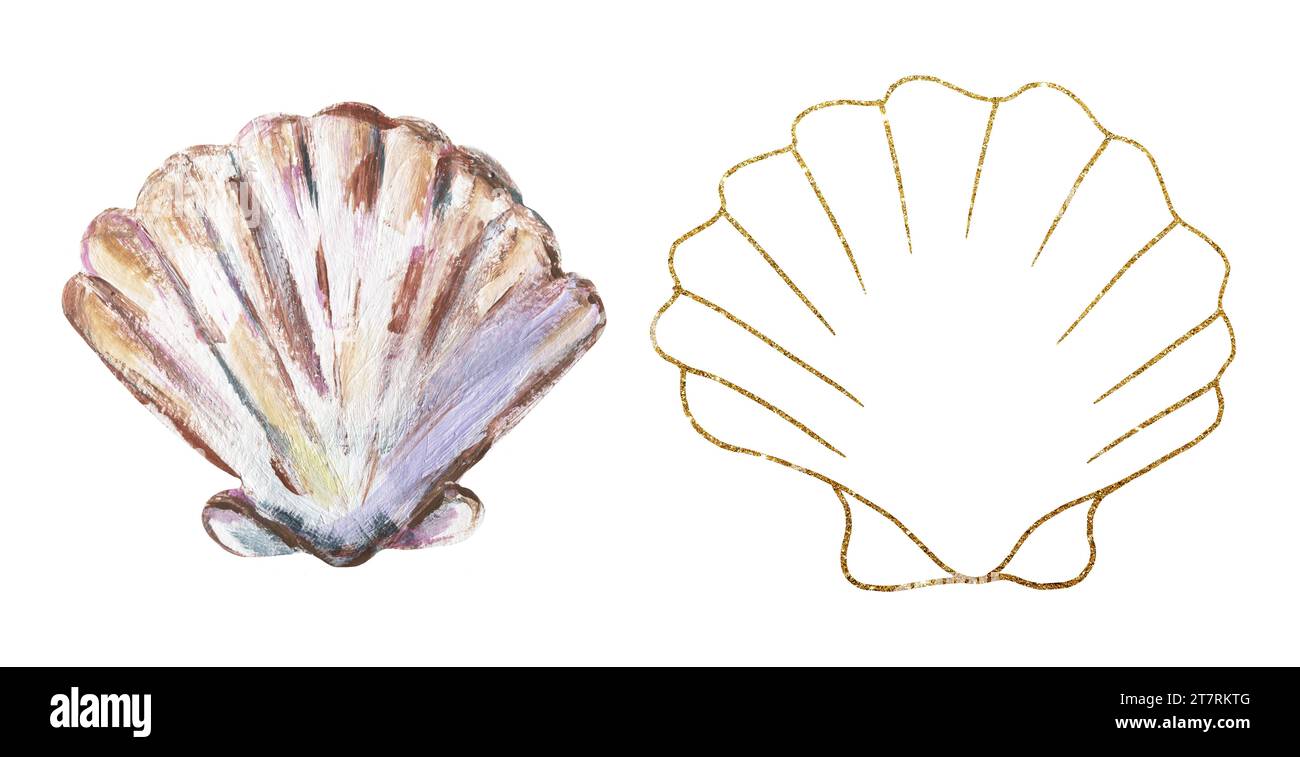Acrylic hand painted sea shells illustration, golden graphic liner ...