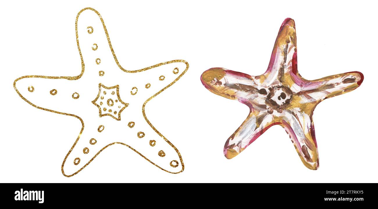 Acrylic hand painted sea shells illustration, golden graphic liner ...