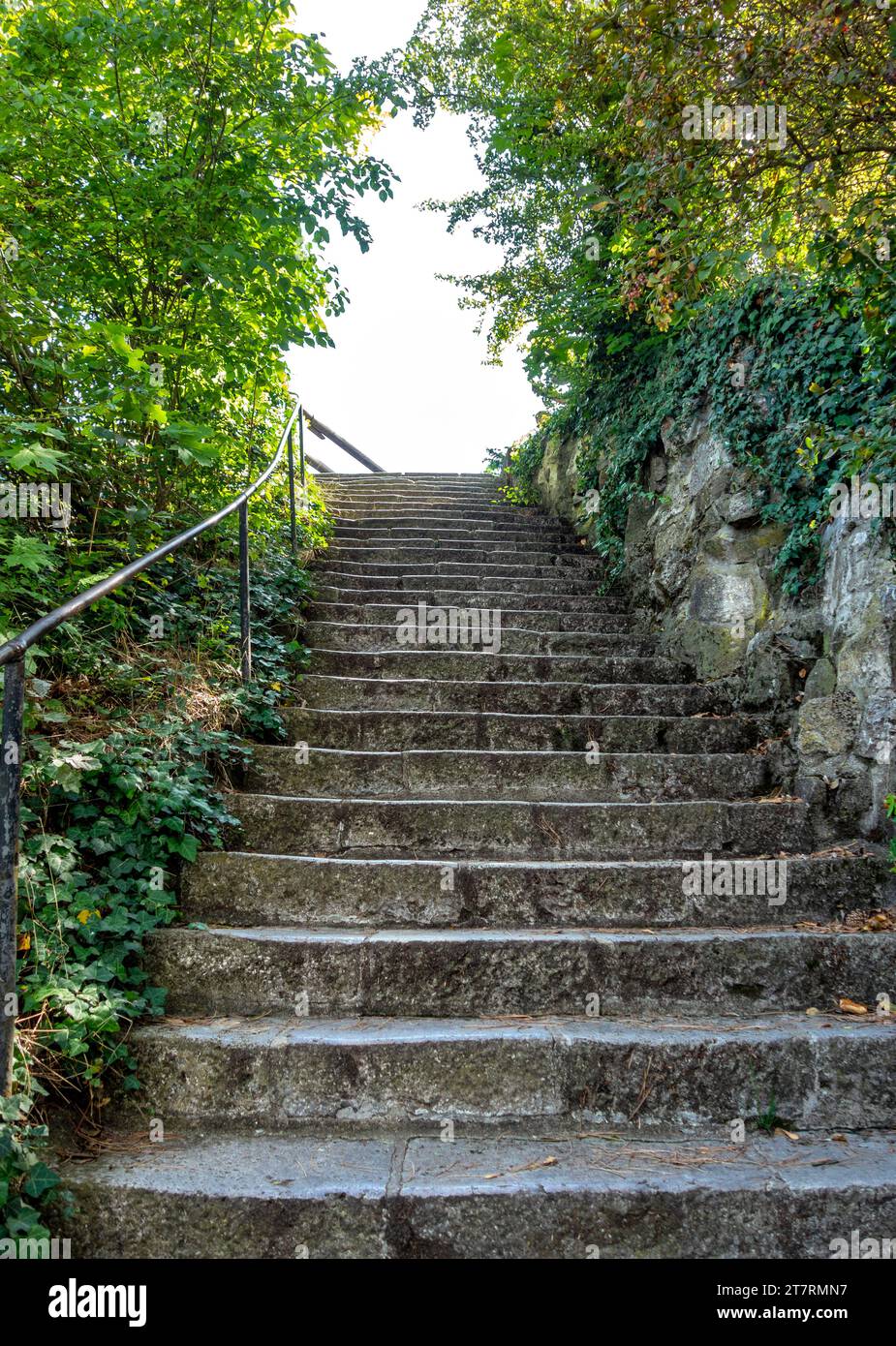 Rundown steps hi-res stock photography and images - Alamy
