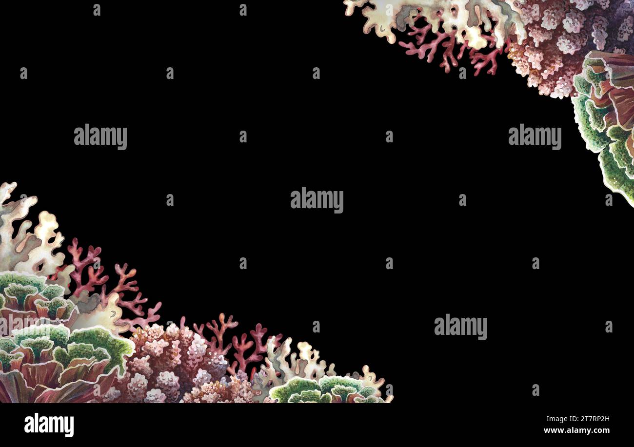 Coral frame. Underwater world. Hand-drawn in watercolor. On a black ...