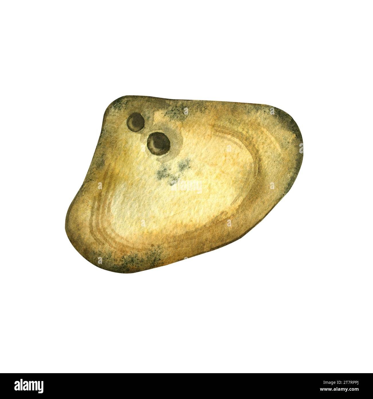 Apotropaic stone Chicken God. Amulet. Triangular stone, yellow, brown ...