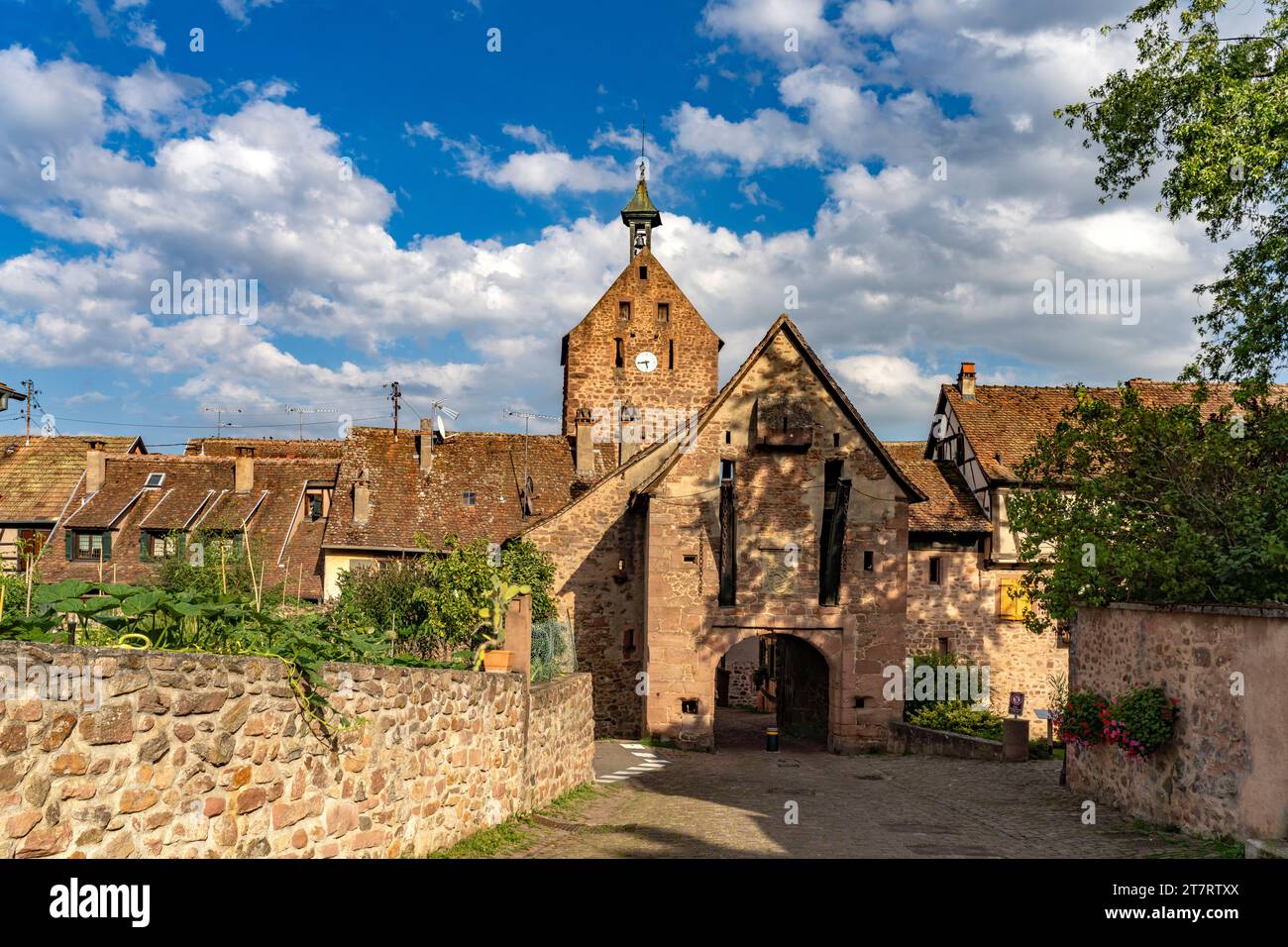 Das Obertor La Porte Haute und Dolder Turm von Riquewihr, Elsass ...