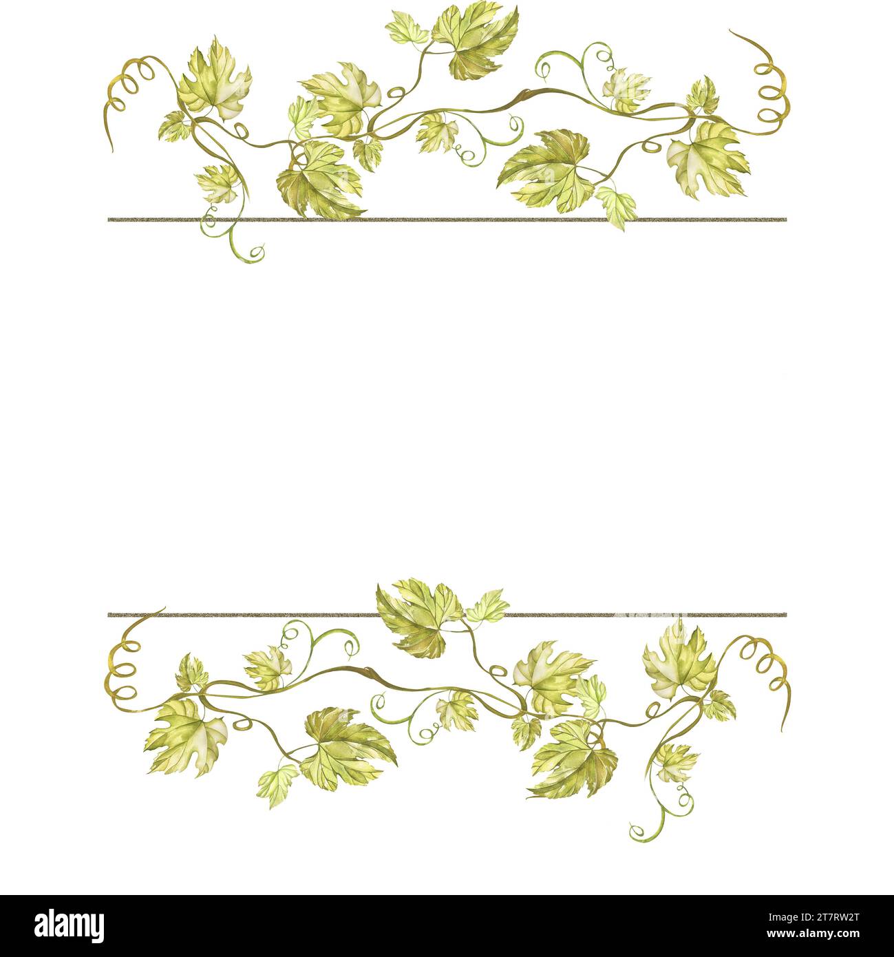 Grapevine leaf hand drawn watercolor illustration. Frame. Grapes tree ...