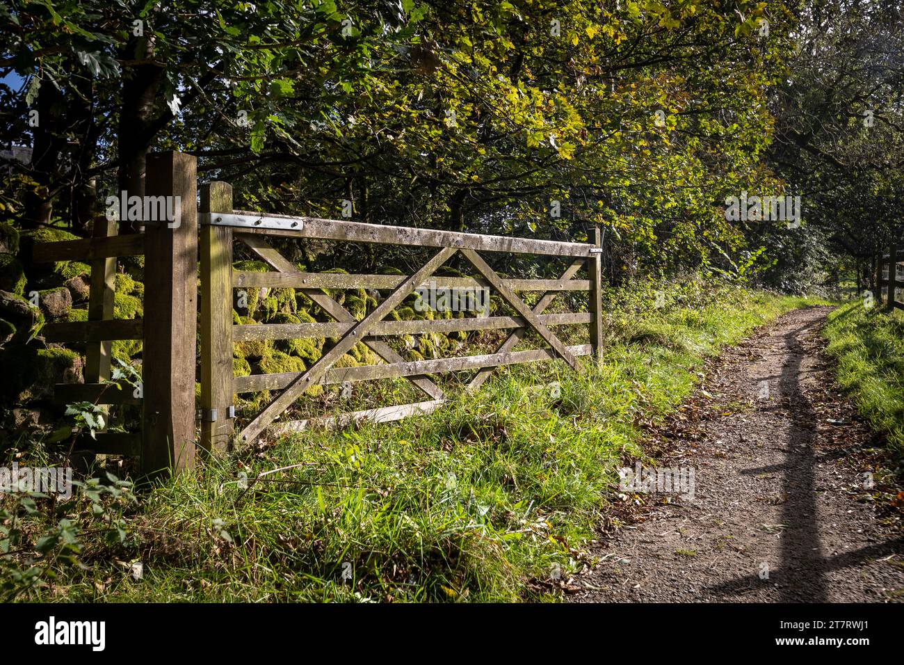 An open five bar gate in woodland near to Wycoller, Lancashire Stock ...