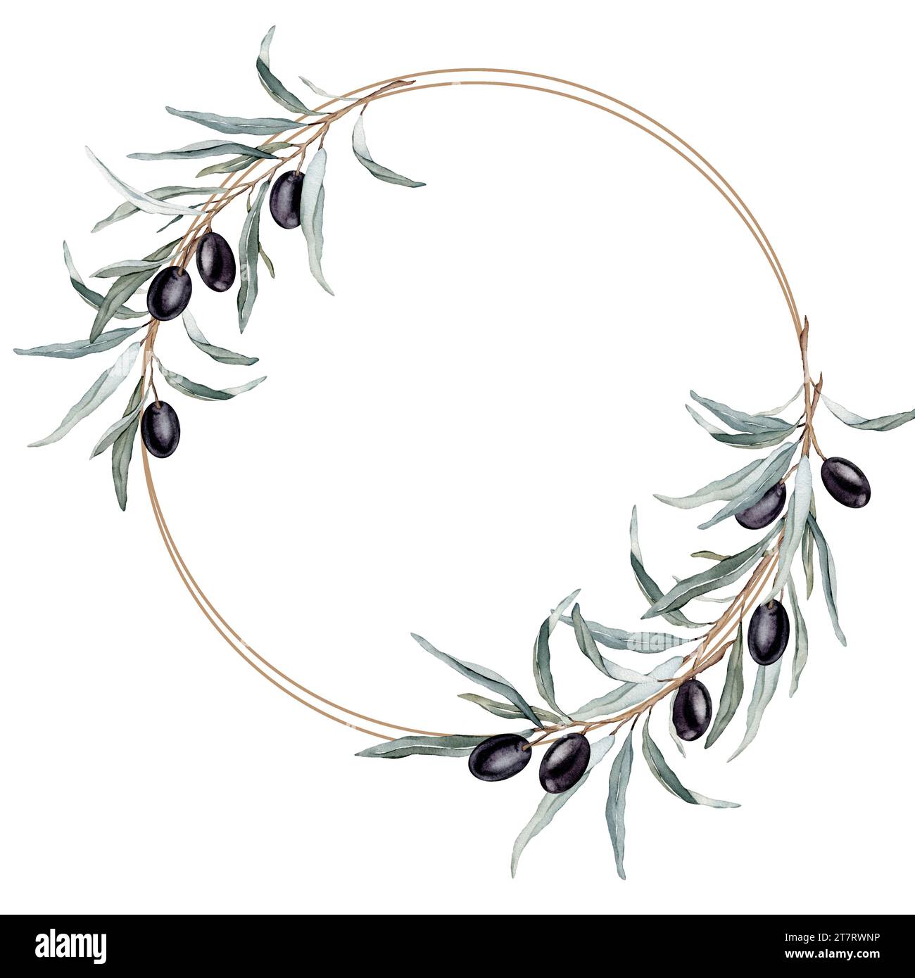 Watercolor round wreath with green olive berries and leaves.. Design ...