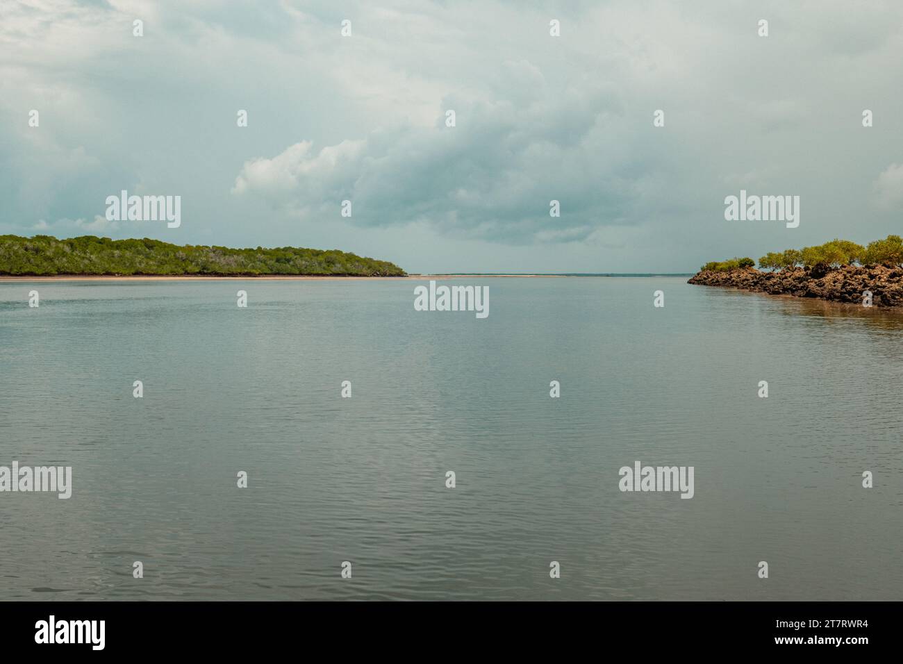 Mangrove Forest at the shores of Indian Ocean at Shela Beach in Lamu ...