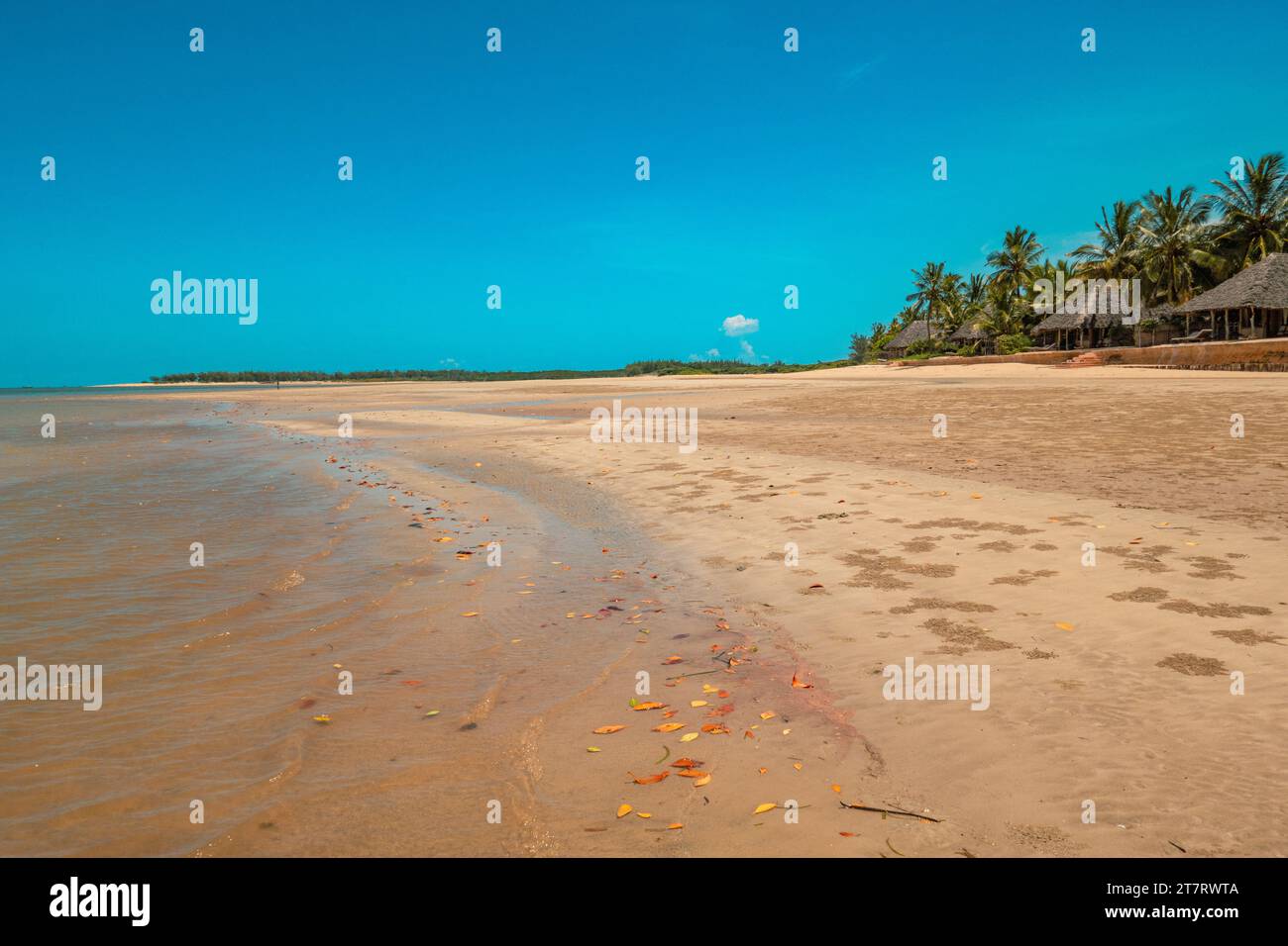 Scenic view of beach against palm trees and luxury resort at Manda ...