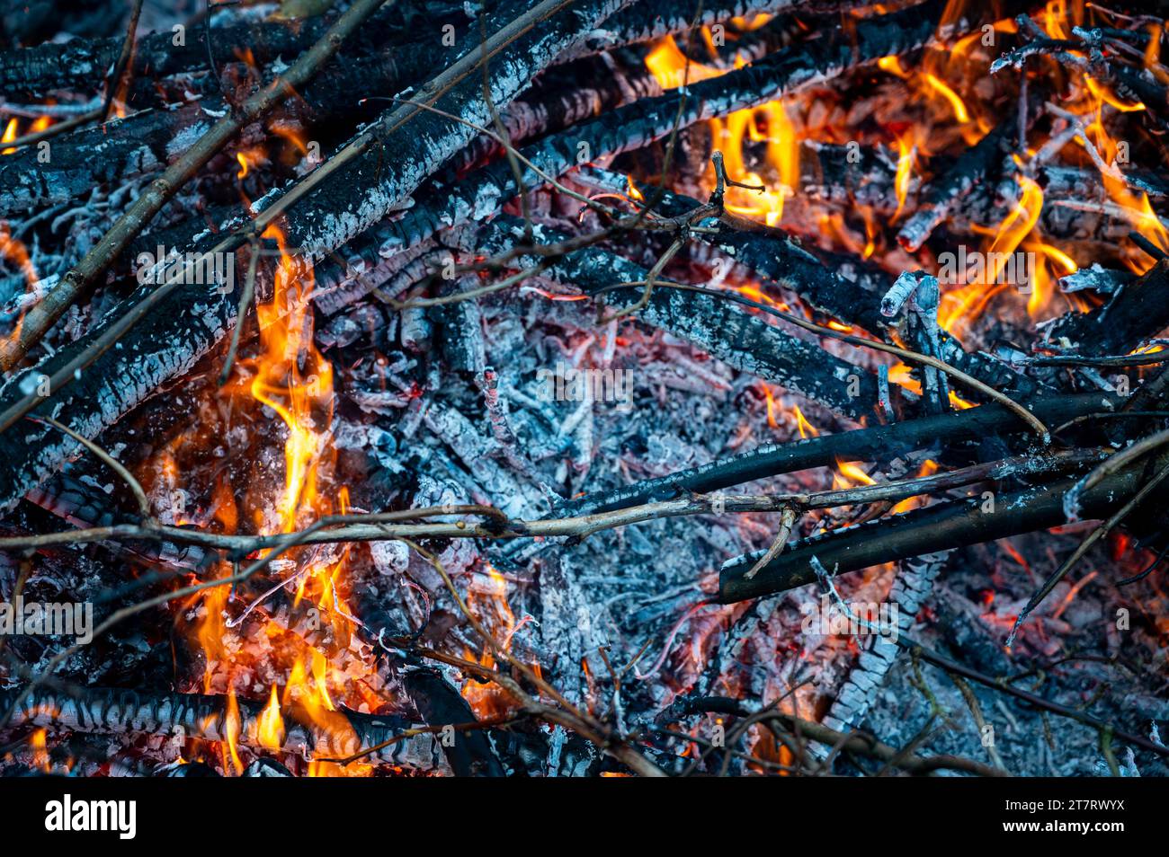 Fire made of twigs from garden cleaning Stock Photo - Alamy