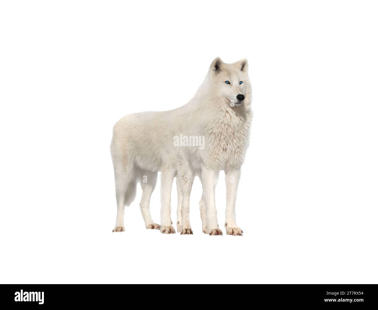 fairy tale wolf character with eight legs isolated on white background ...