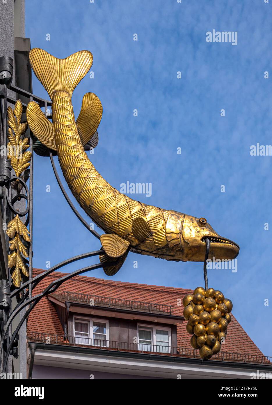 Golden fish with grapes, hanging sign, pub sign in Überlingen on Lake ...