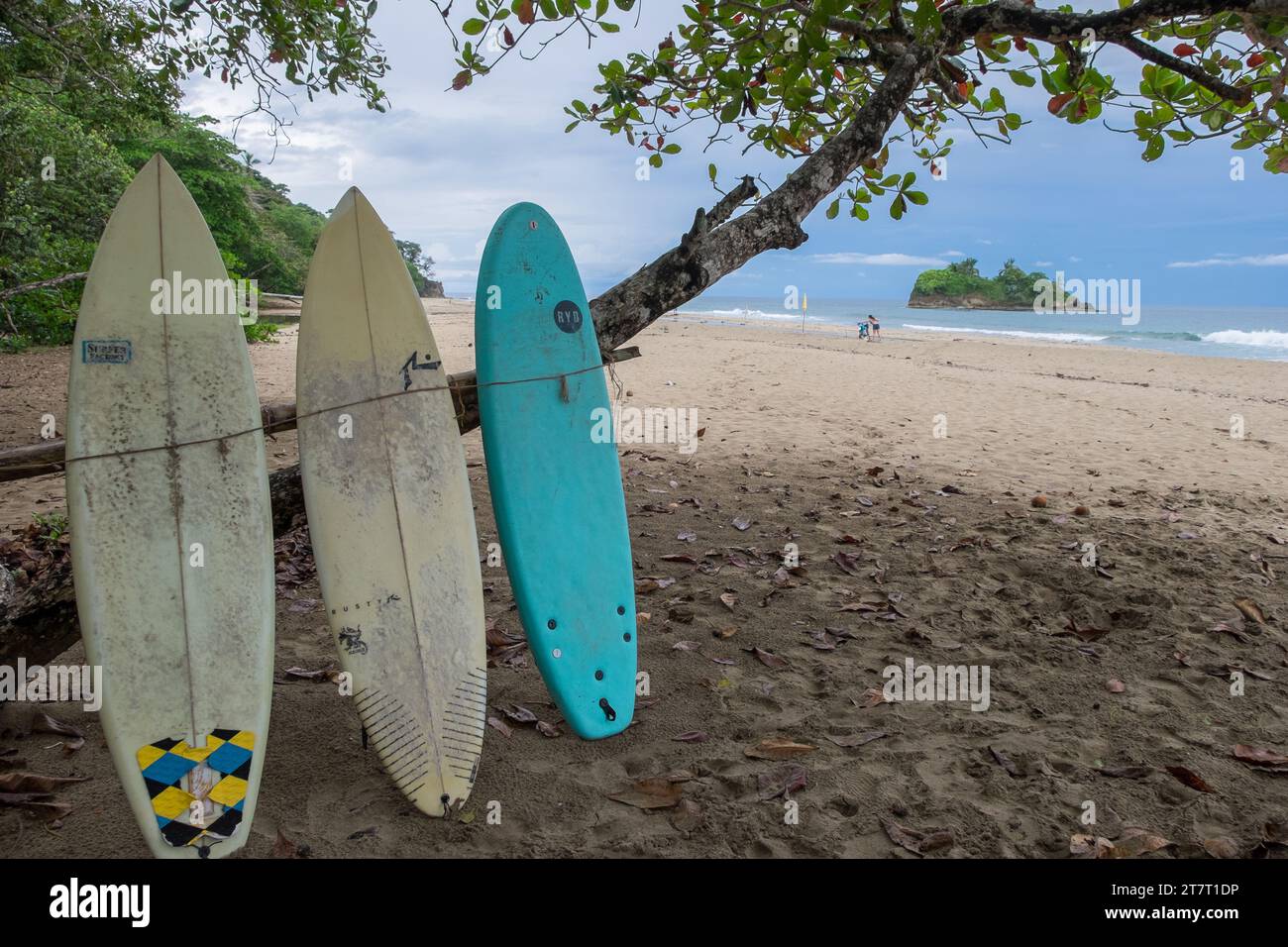 Surfboards on a beach in Puerto Viejo on the Atlantic coast of Costa ...