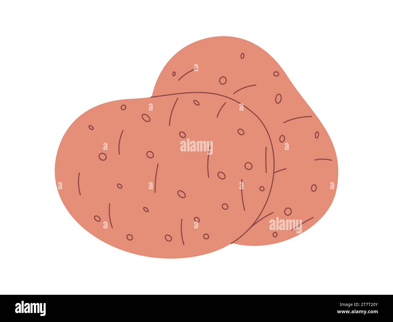 potato healthy vegetable agriculture nature organic plant nutrition ...