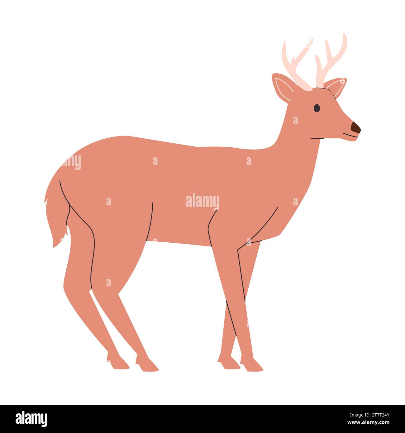brown color deer with head horned mammal herbivore animal wildlife ...