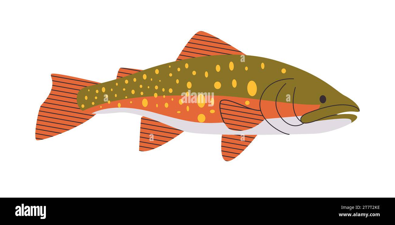 brook trout fish animal green and yellow color with spotted skin ...
