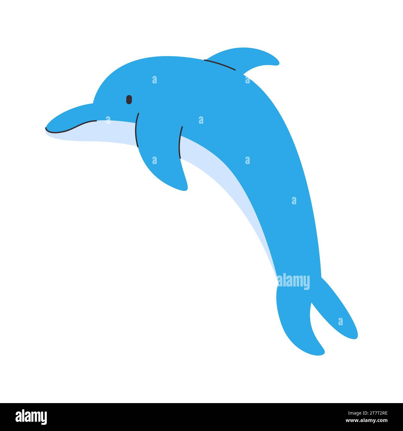 blue color dolphin cute adorable friendly mammal wild nature animals ...