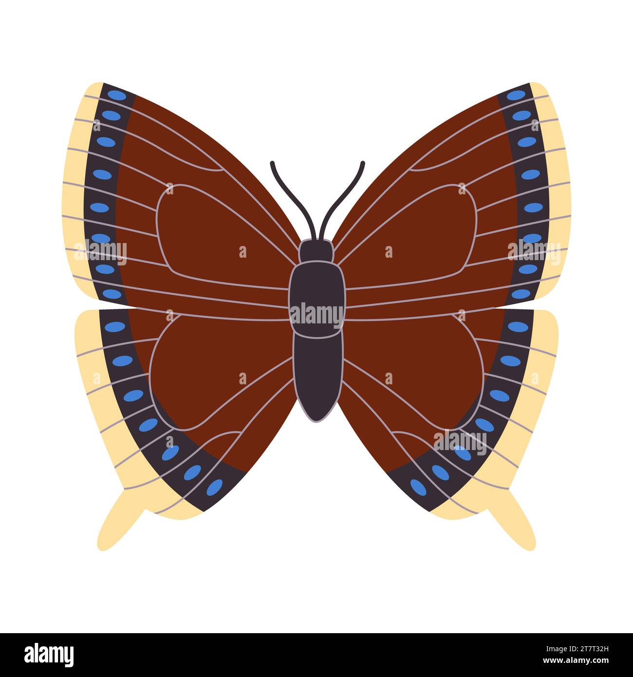 brown color mourning cloak butterfly beautiful colorful pattern wing ...