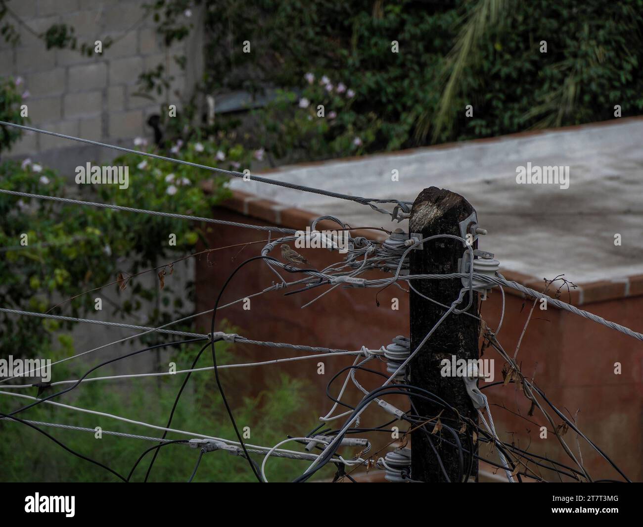 La Paz city, Baja california sur, Mexico Messed up power lines and ...