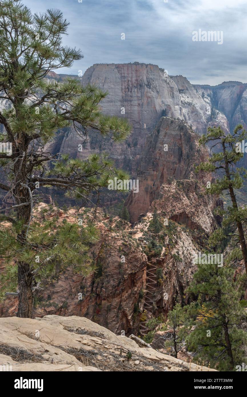 Angel's landing walters wiggles hi-res stock photography and images - Alamy