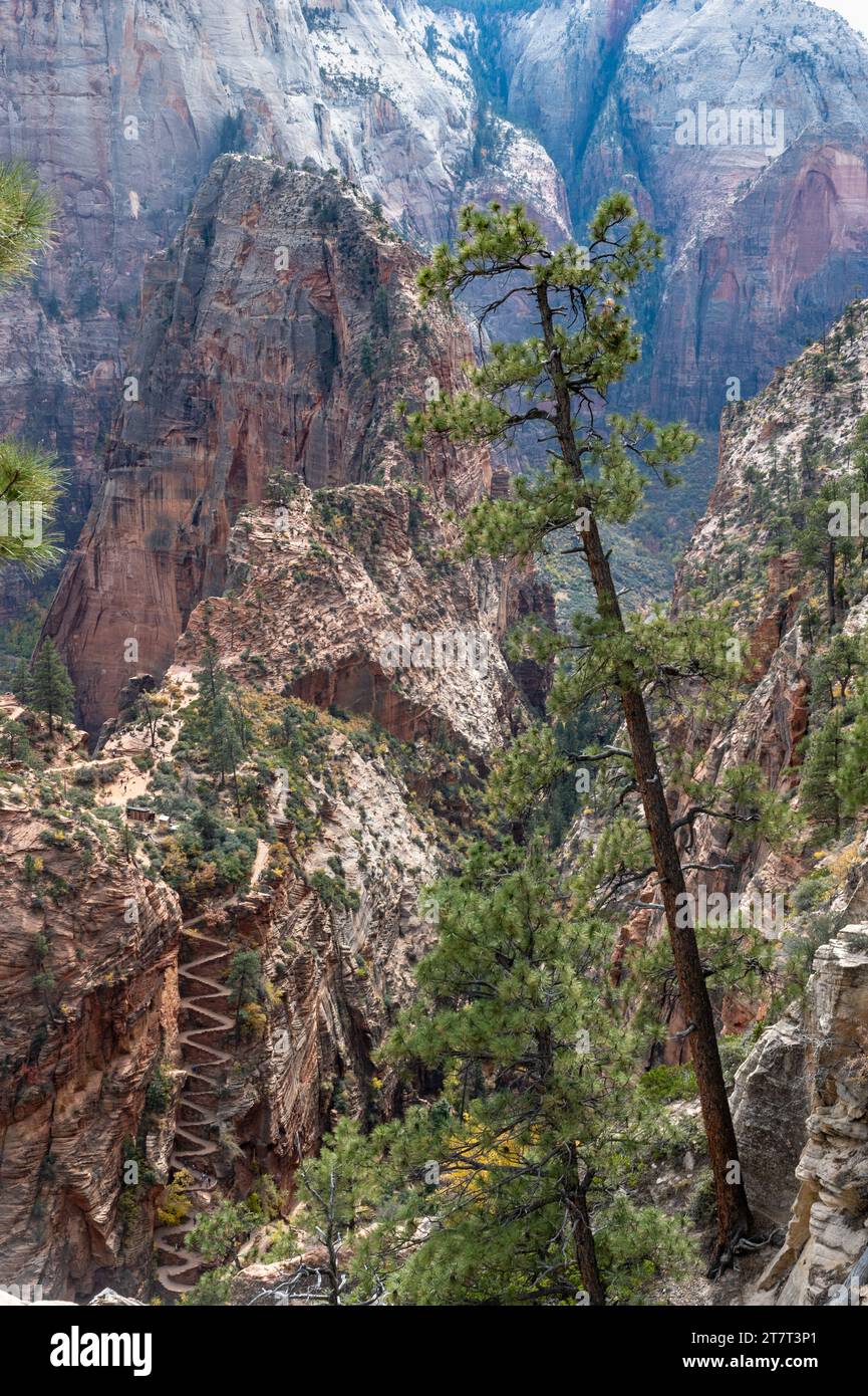 Angel's landing walters wiggles hi-res stock photography and images - Alamy