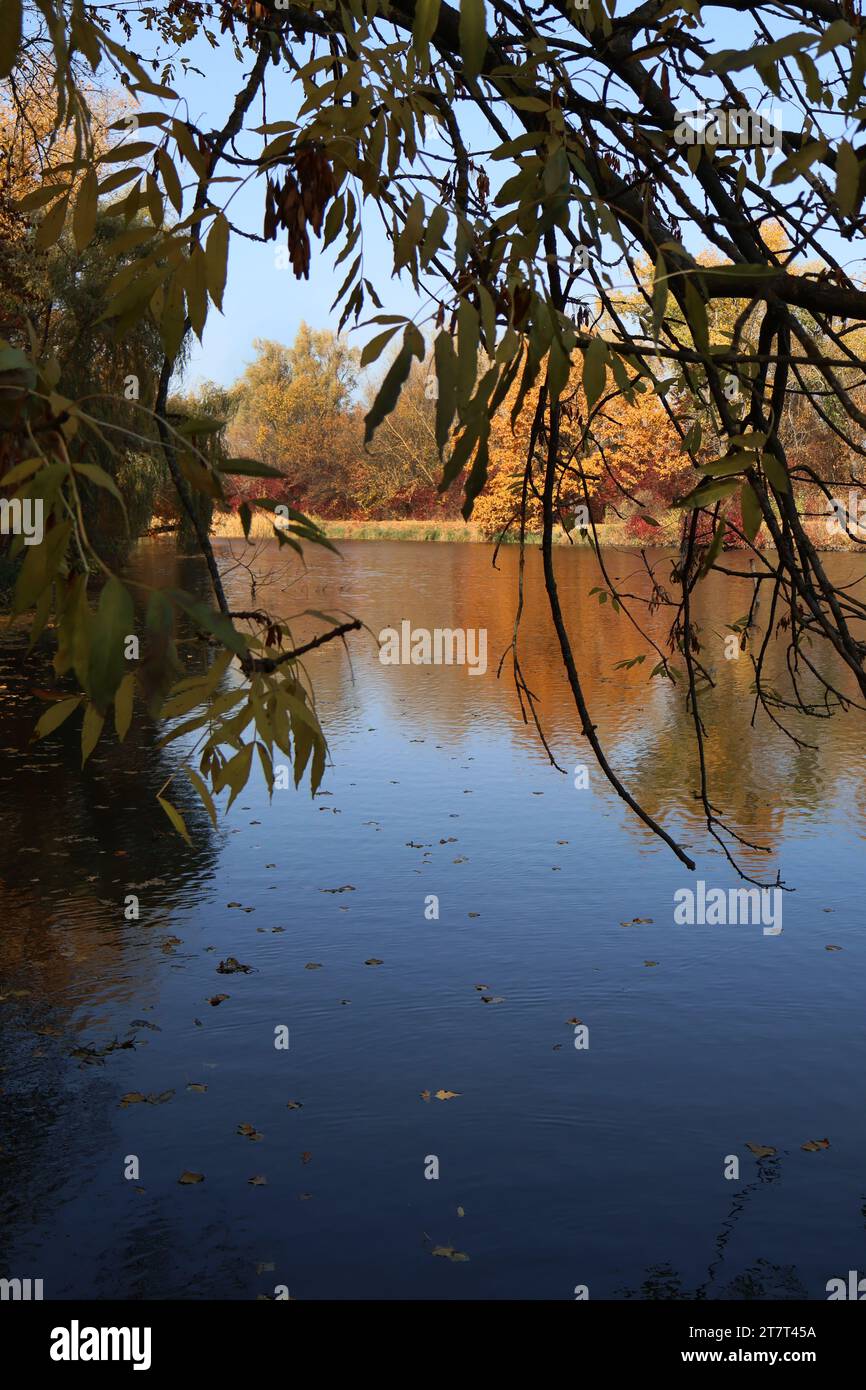 Golden warm autumn beautiful hi-res stock photography and images - Alamy