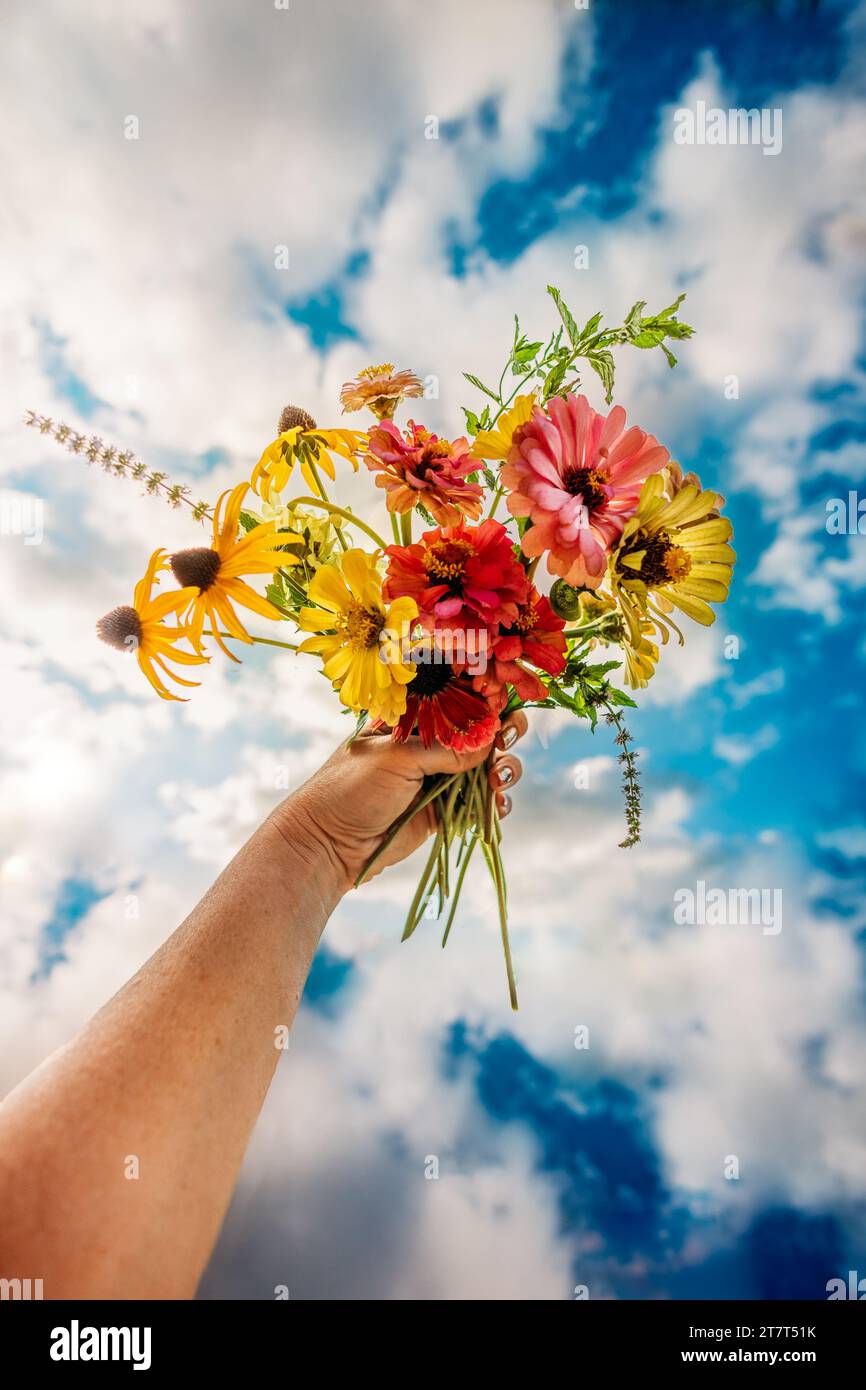 Hand holding bouquet of flowers in front of blue sky Stock Photo - Alamy
