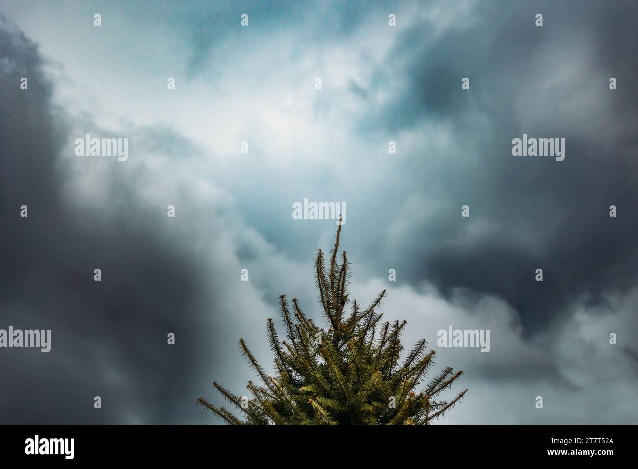 Tree storm clouds hi-res stock photography and images - Alamy