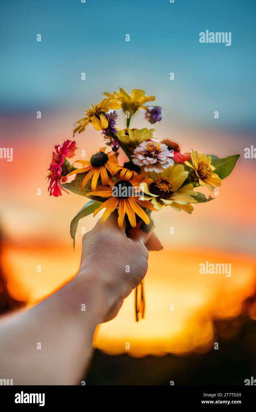Hand holding bouquet of flowers in front of sunset Stock Photo - Alamy