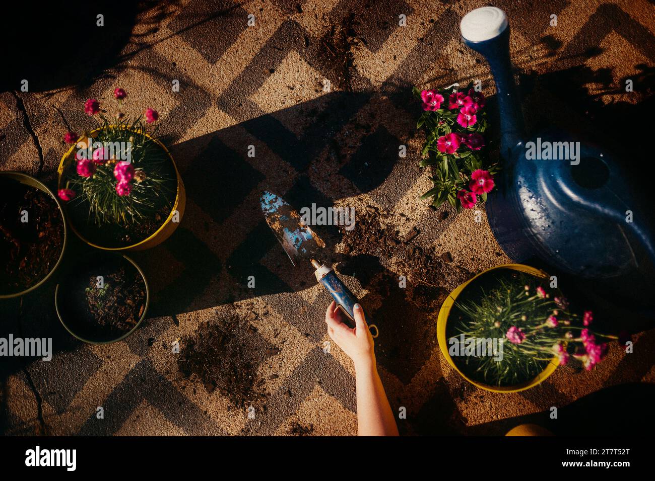 Hand holding garden spade planting flowers Stock Photo - Alamy
