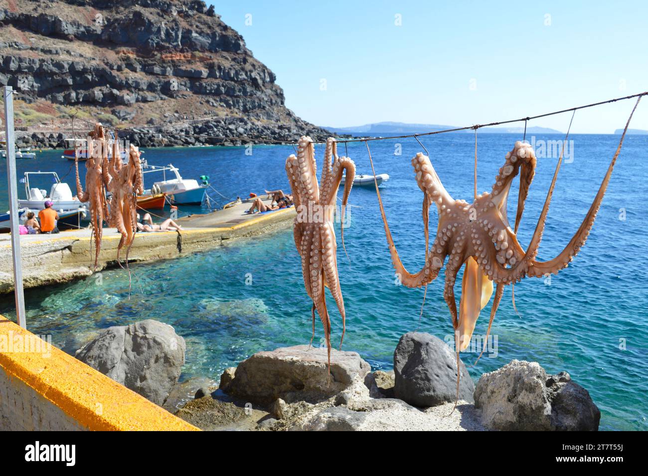 Octopus in Santorini Island Port Stock Photo - Alamy