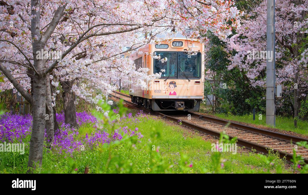 Kyoto, Japan - March 31 2023: Keifuku Tram is operated by Keifuku ...