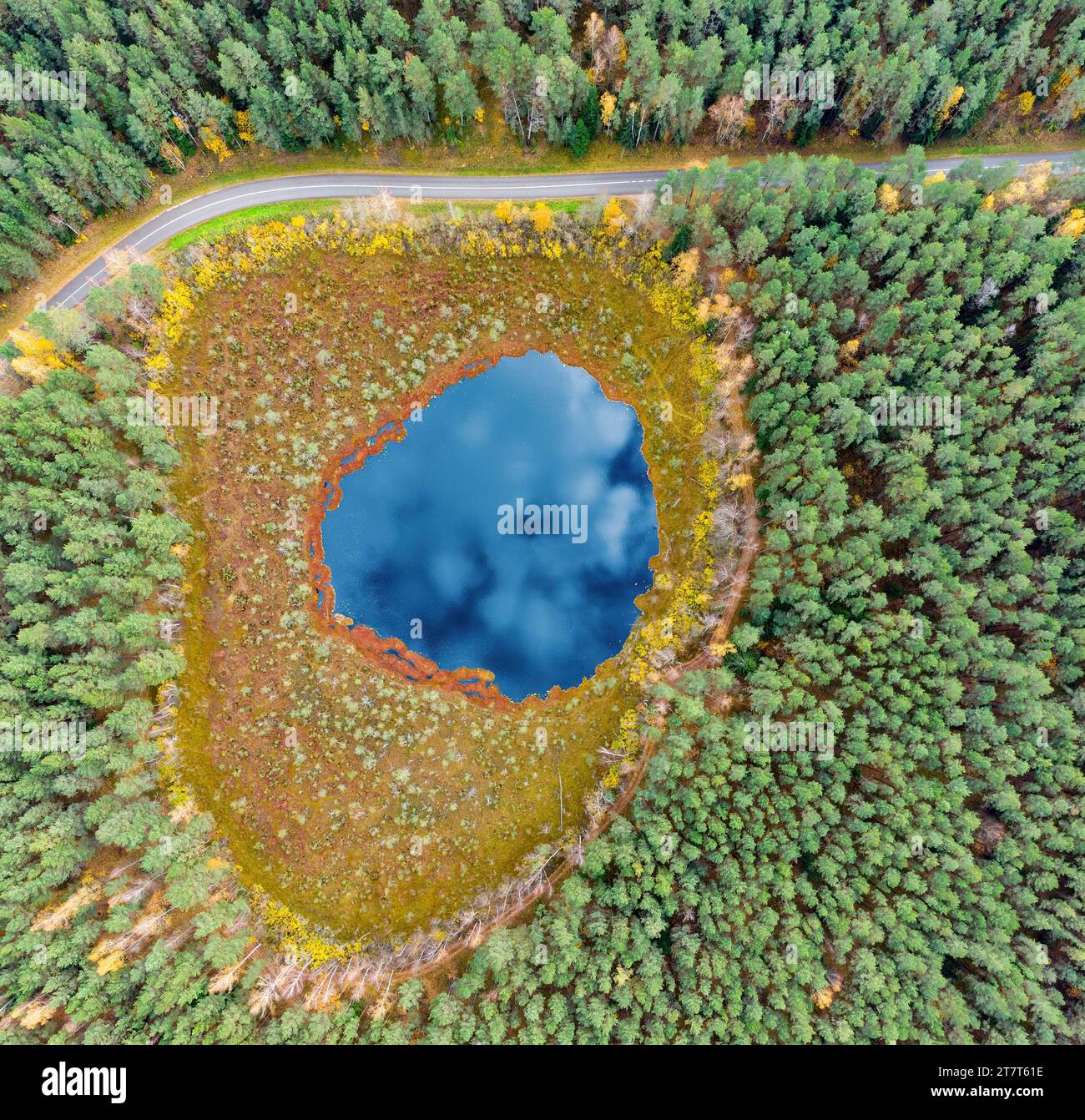 Aerial view of the lake in Lithuanian forests, wild autumn nature. Name ...