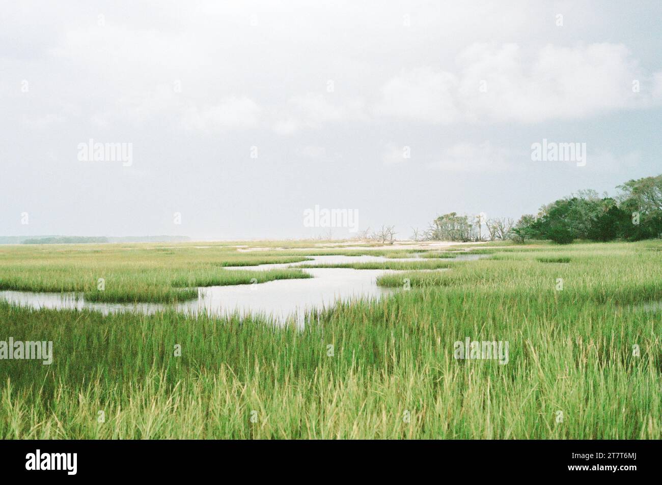 Botany Bay Heritage marsh in Edisto Island SC Stock Photo - Alamy