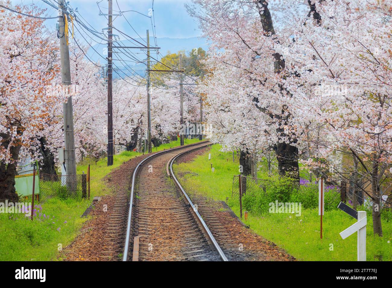 Kyoto, Japan - March 31 2023: Keifuku Tram is operated by Keifuku ...