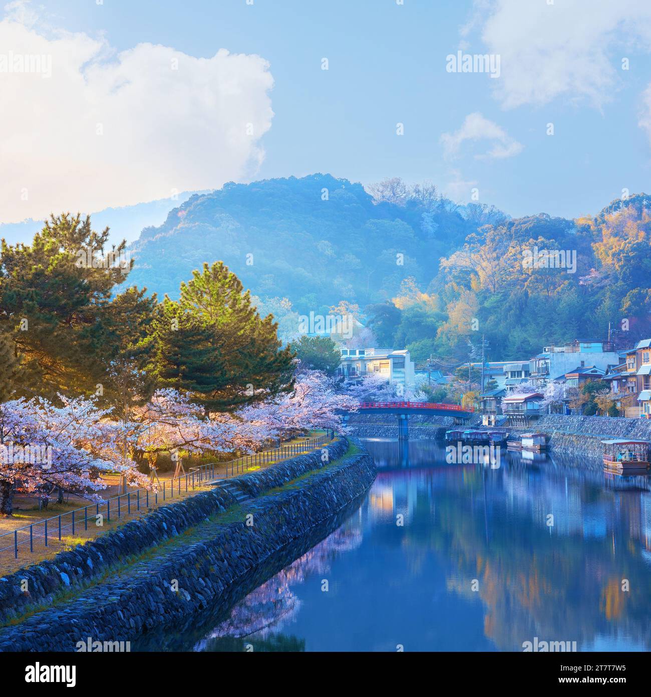 Kyoto, Japan - April 1 2023: Prefectural Uji Park with full bloom ...