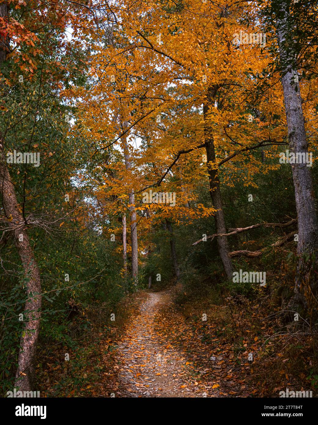 Autumn trail hi-res stock photography and images - Alamy