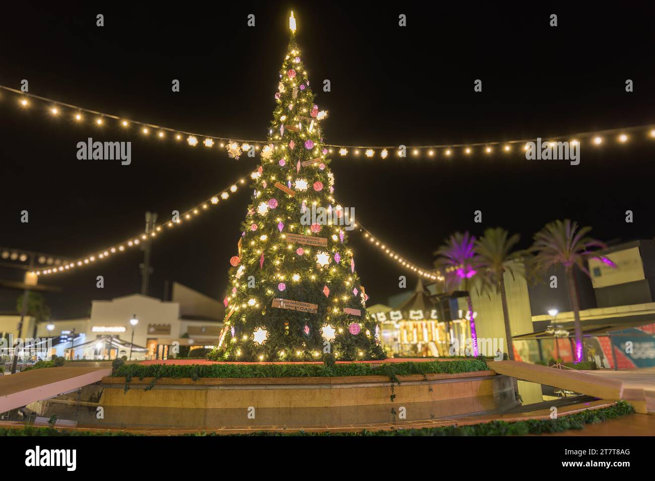christmas tree with lights outdoors at night Stock Photo - Alamy