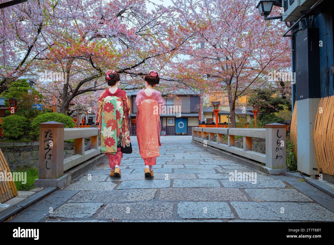 Kyoto, Japan - April 6 2023: Tatsumi bashi bridge is the iconic place ...