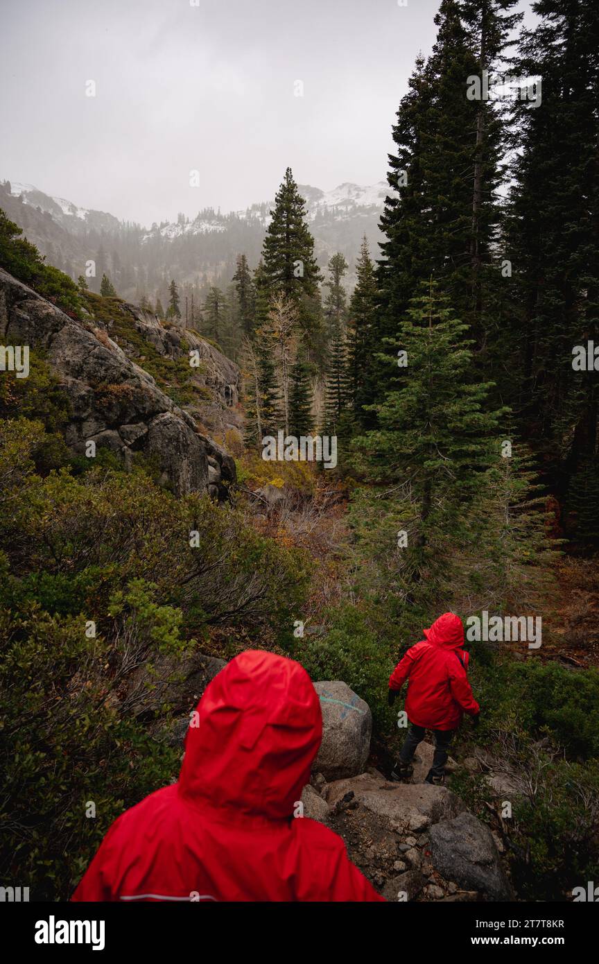 Two tweens in red coats hiking on trail among large pine trees Stock ...